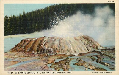 Postcard Yellowstone National Park Linen Sponge Geyser Unposted | eBay