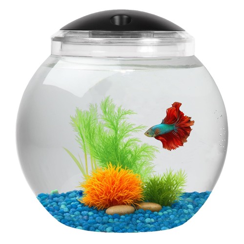 Koller Products 2-Gallon Fish Bowl, Impact- Resistant Plastic Betta ...