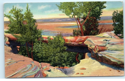 Natural Bridge Petrified Forest Arizona Petrified Log Vintage Linen ...