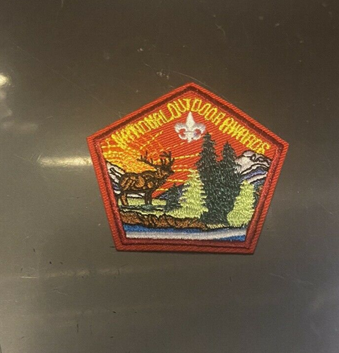 BSA: National Outdoor Awards Patch | eBay