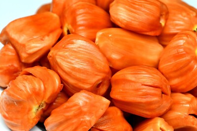 Orange Jack Fruit Seeds Large Fruits Vegetable Garden Jackfruit Orange ...