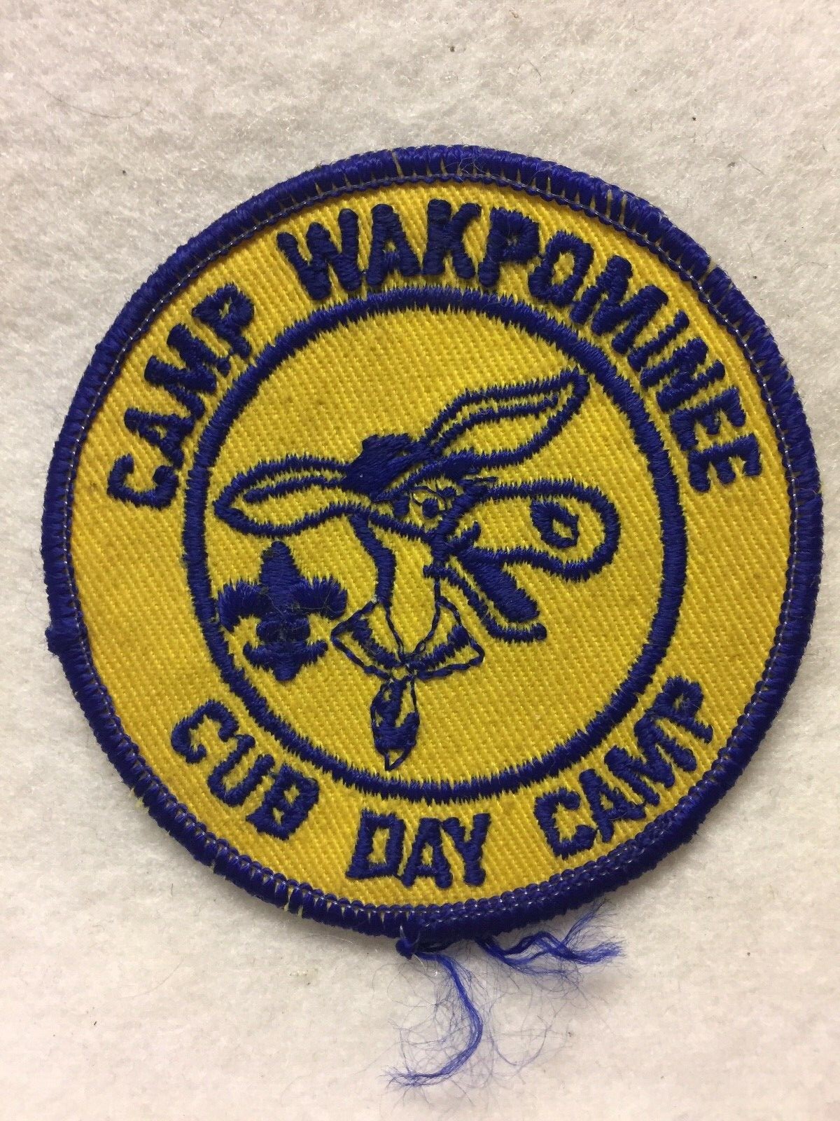 (b37) Boy Scouts- Camp Wakpominee - Cub Day Camp patch. PEDRO ! | eBay