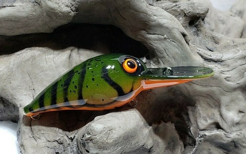 custom painted Wiggle wart crankbait (Green tomato CRAW ) | eBay