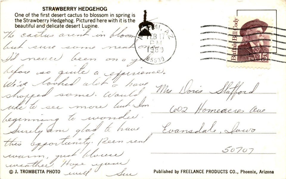 STRAWBERRY HEDGEHOG, desert Lupine, Buffalo Bill Cody, Doris Stafford ...