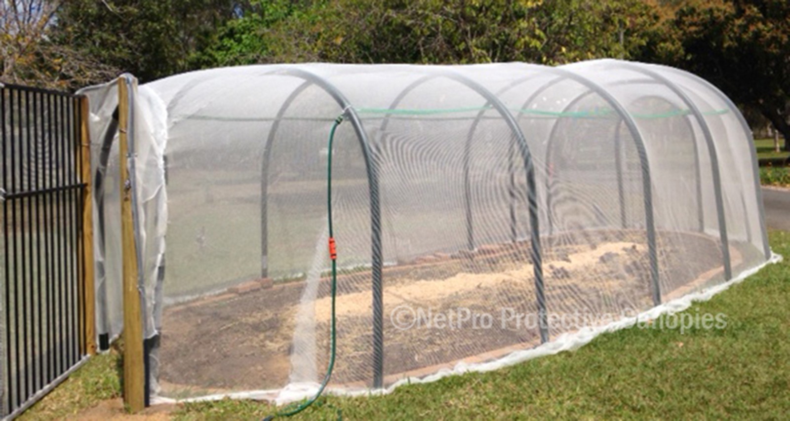 Fruit Fly Net, 10m x 10m Fruit Protection Insect Exculsion | eBay Australia