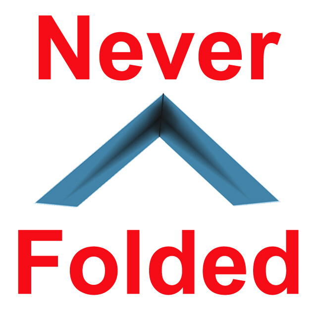 Biggest Loser Logo Vector