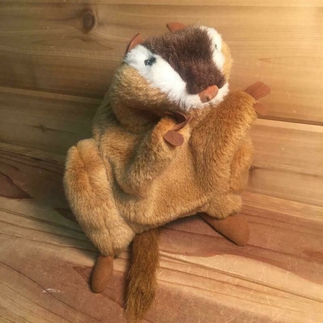 Folkmanis Chipmunk Hand Puppet Plush Stuffed Animal 9 Tall for sale ...