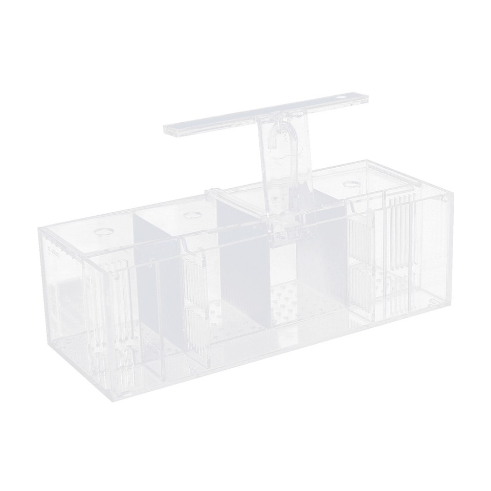 Acrylic Aquarium Transparent Isolation 4Grid Betta Fish Tank Water Pump ...
