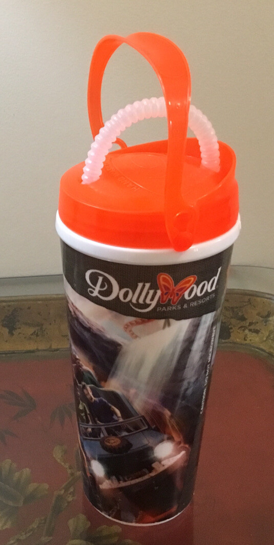 Dollywood 2023 Season Refillable Mug Tumbler Big Bear Mountain Roller ...