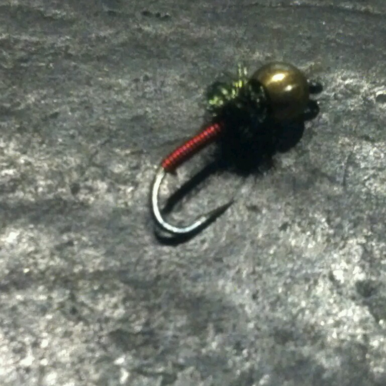 6 BEAD HEAD RED BRASSIE NYMPHS SIZE 18 LIGAS FLY FISHING FLIES | eBay