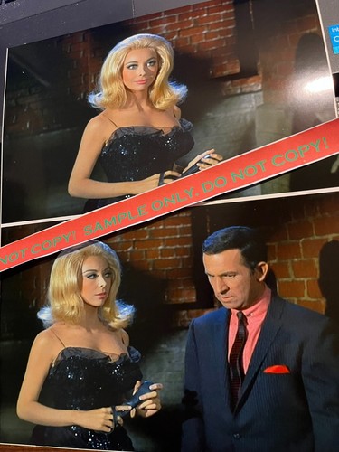 8X10 PHOTO GET SMART! Angelique Pettyjohn - Charlie Watkins w/ Don ...