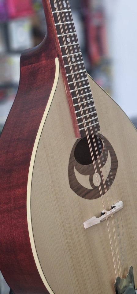 "Eye" Octave mandolin, short scale Irish bouzouki, Hora, Romania, solid ...