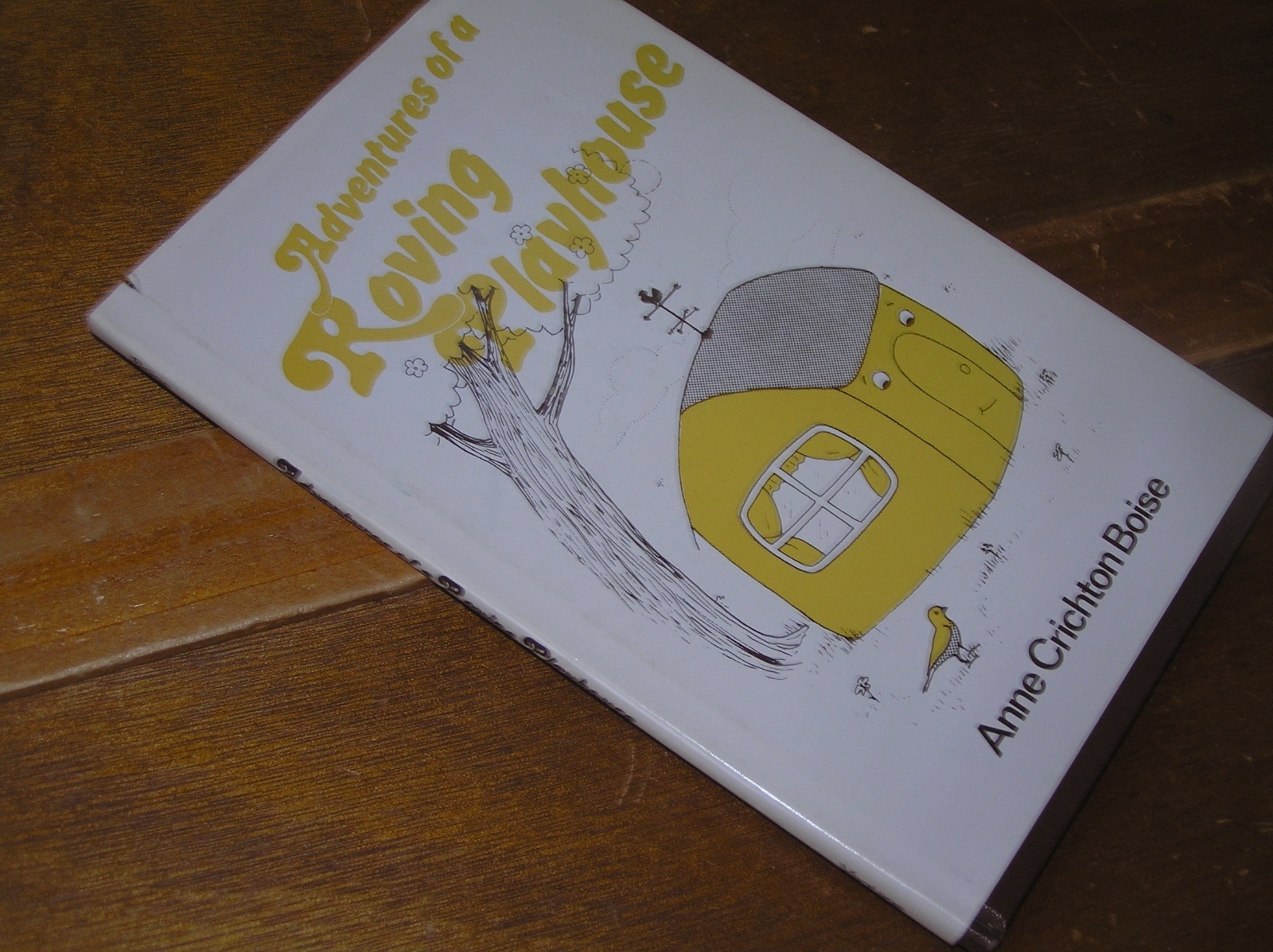 ADVENTURES OF A ROVING PLAYHOUSE by Anne Crichton Boise Vantage Press ...