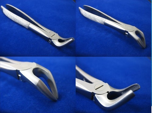 O.R GRADE ENGLISH PATTERN LOWER PREMOLAR BICUSPIDS DENTAL EXTRACTING ...