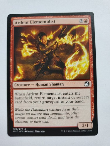 MTG Magic The Gathering Card Ardent Elementalist Creature Human Shaman Red | eBay