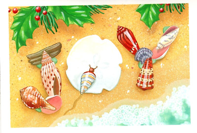 Merry Christmas Joy Shells Seashell Seashells Greeting Cards - Set of 2 ...