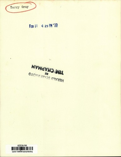 1977 Press Photo Terry Gray - lrb16329 | eBay