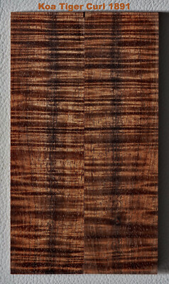 Shimmering Stabilized Koa Tiger Curl scales #1891, 5 15/16" x 1 11/16 ...