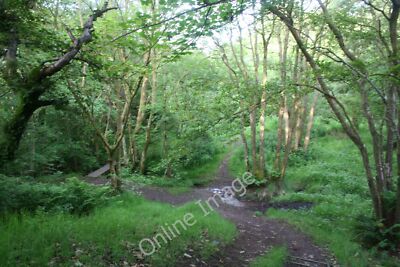 Photo 12x8 Burn Crossing Redmoss/NJ8231 A simple footbridge over one of ...