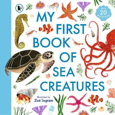 Zoë Ingram My First Book of Sea Creatures (Paperback) (US IMPORT) | eBay UK