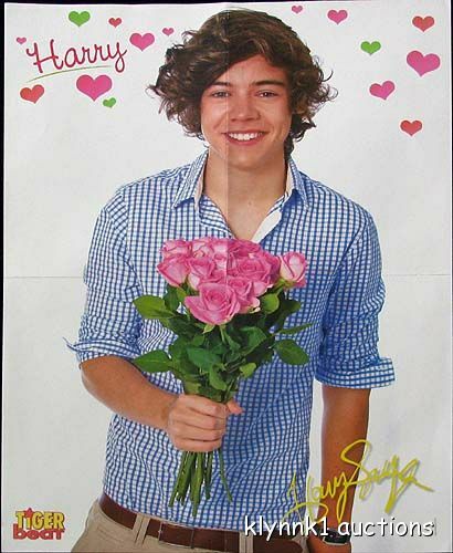 One Direction Photoshoot With Roses