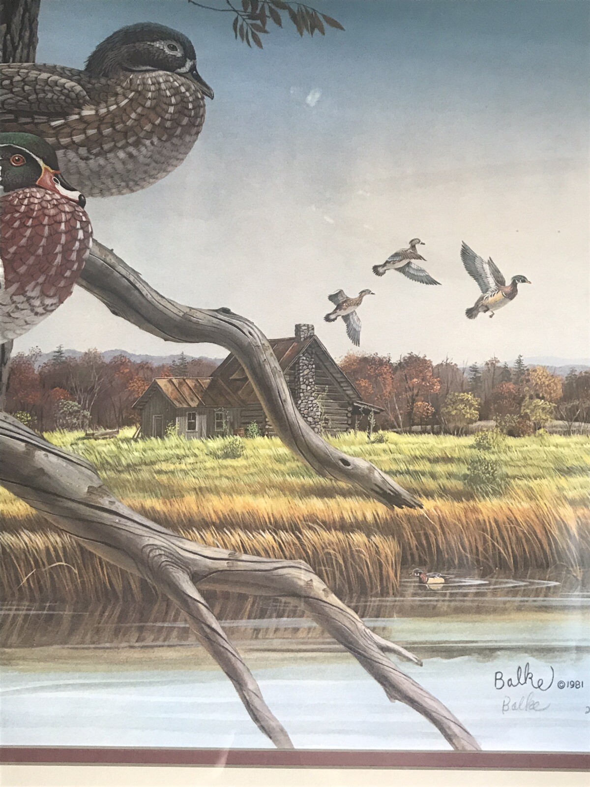 LARGE Don Balke Signed Numbered Framed Waterfowl Wood Duck Lithographic ...