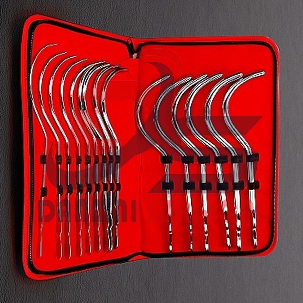 Guyon Urinary Urethral Bougies Instruments Kit Of 15 Pcs Gynecology Instruments | eBay