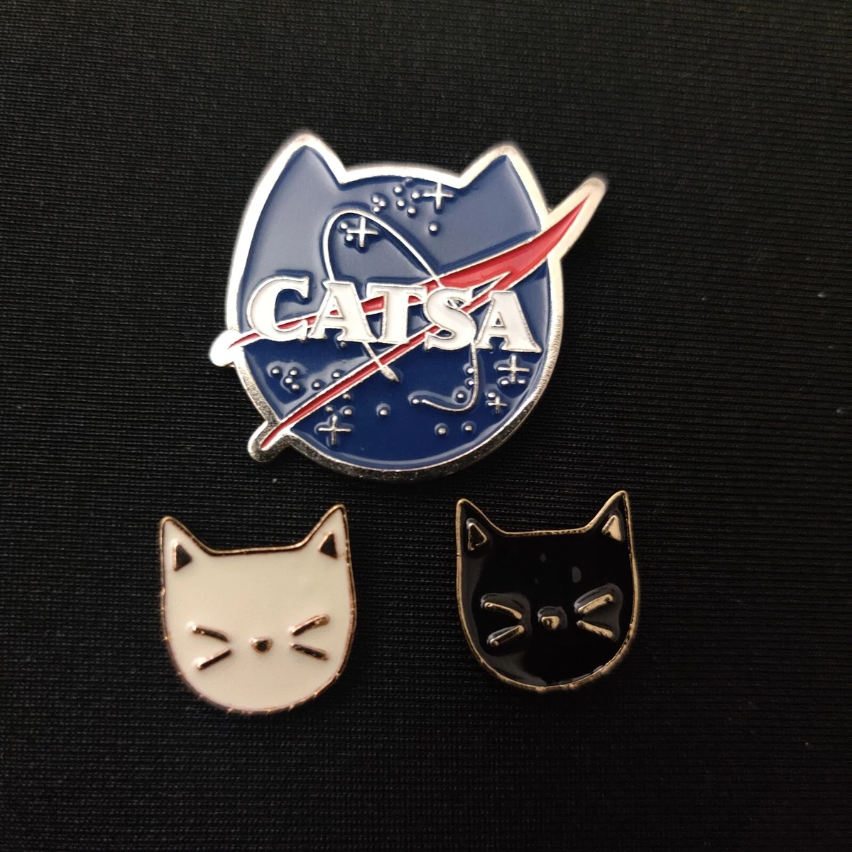 Nasa Cat