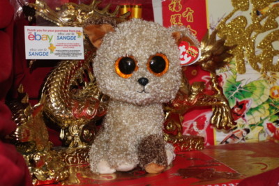 TY BEANIE BOOS ROOTBEER THE DOG.MEDIUM BUDDY.9".MWNMT.2014.NICE GIFT | eBay