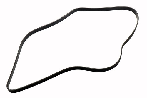 GM Genuine Parts 55578811 Serpentine Belt | eBay
