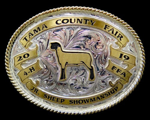 Tama County Fair Iowa 4H FFA Junior Sheep Showmanship Trophy Belt ...