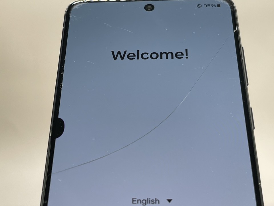 Samsung Galaxy S21 FE 5G SM-G990U2 128GB Graphite Unlocked W068918 | eBay