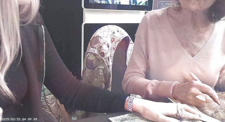 Adrienne Barbeau signed 17x11 Cannonball Run Photo | eBay