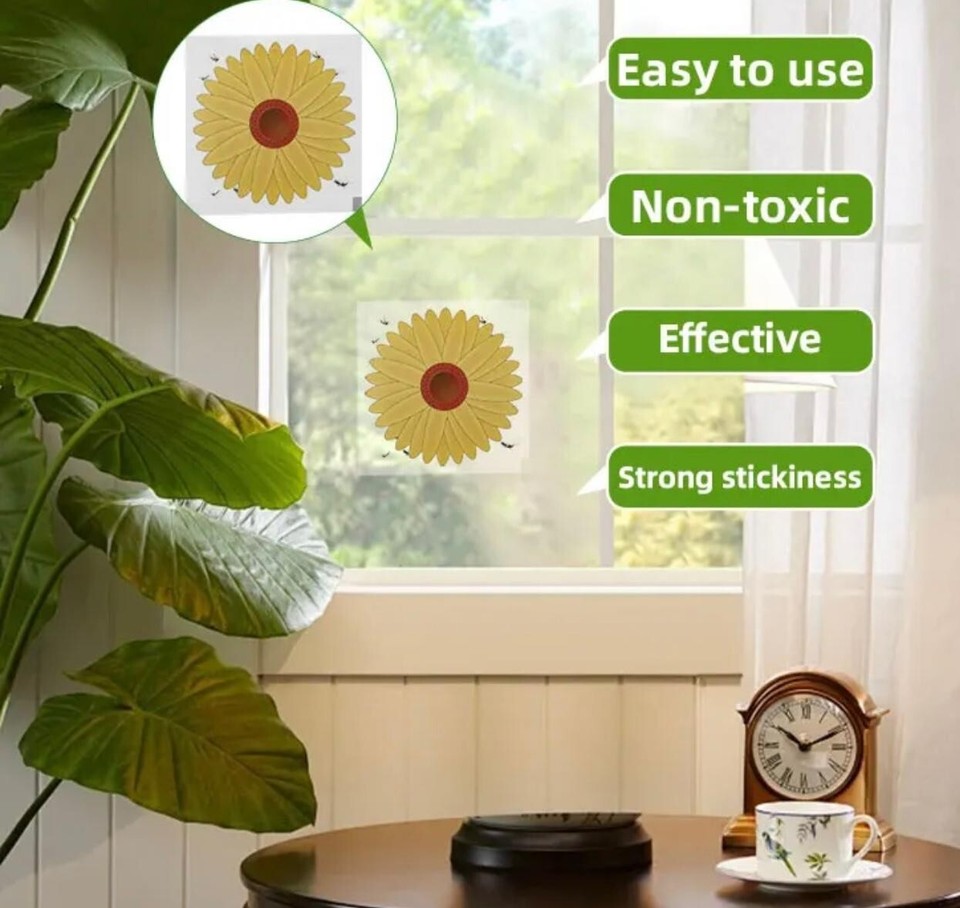 10 Fly Catcher Window Flower Traps Stickers Bug Insect Killer Sticky ...