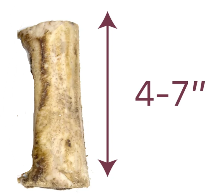 Buffalo Meat Filled Bones Dog Chew Bone 100% Natural Meaty Filling Long ...