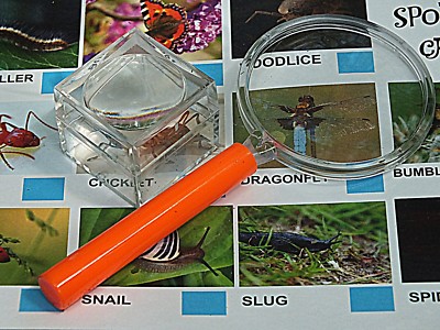 Mini Bug Hunting Kit Includes Mini,Bug Pot & Magnifying Glass & Spotter ...