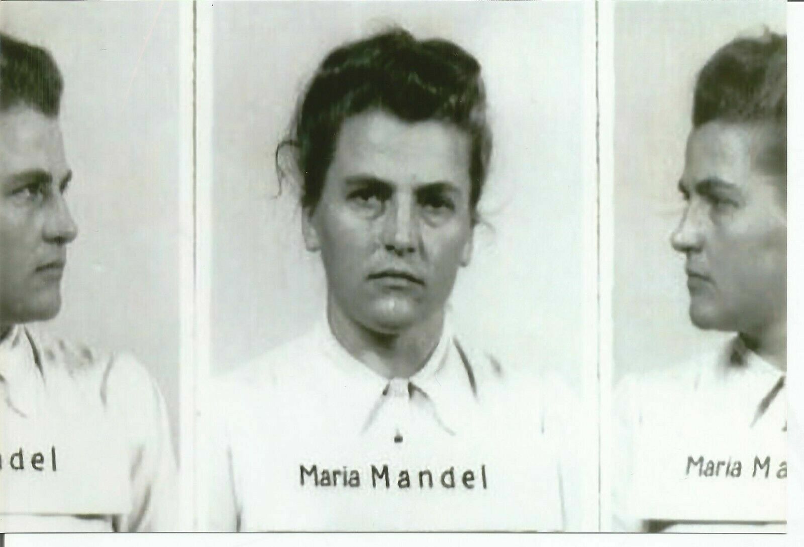 WW II German Photo Mugshot - Maria Mandel - Concentration Camp Guard | eBay
