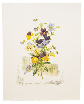 Vintage lithograph art print, Pansies flowers, Victorian 1880s design ...