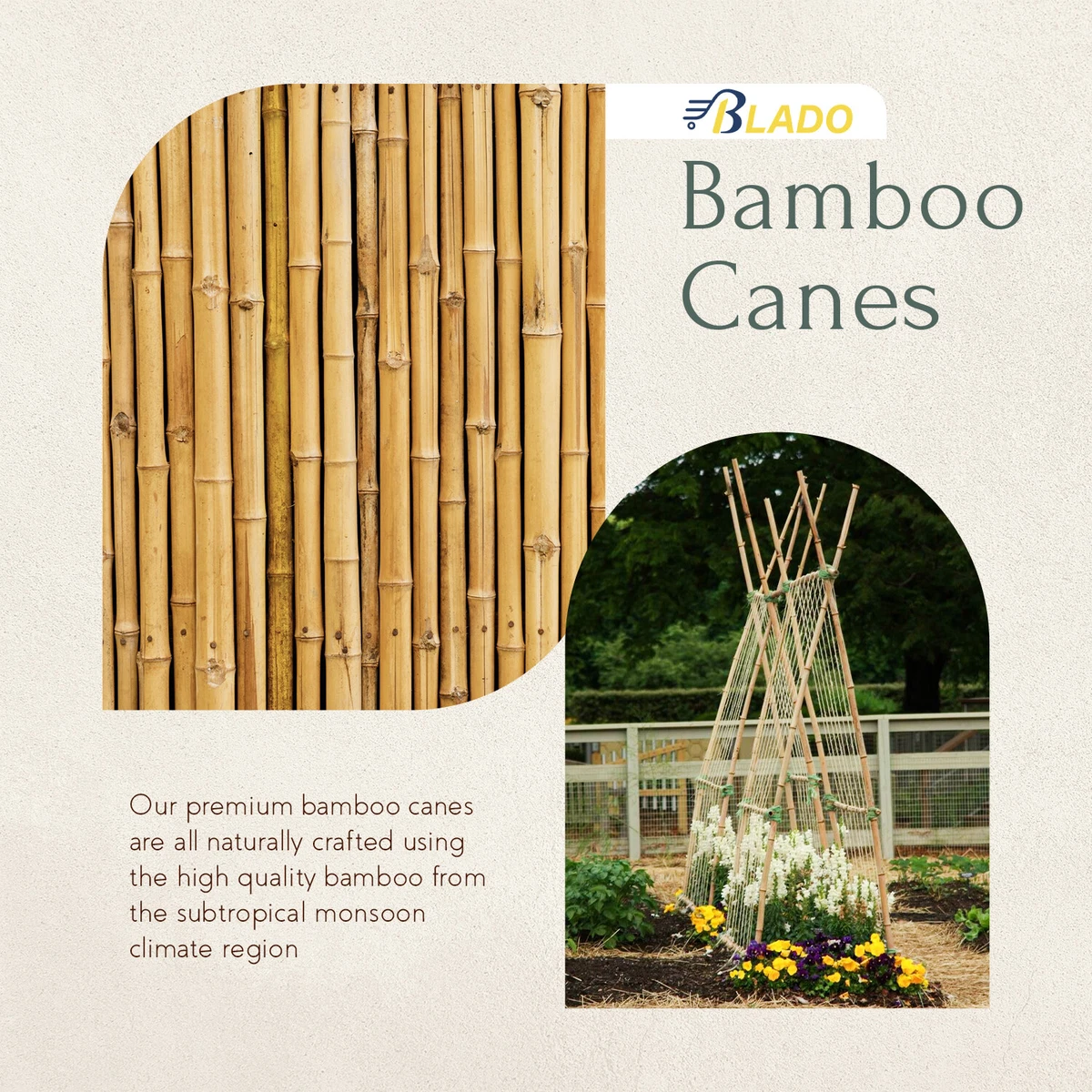 Bamboo Garden Canes 8ft | Fasci Garden