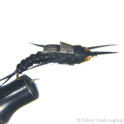 Dry - Strike Indicators