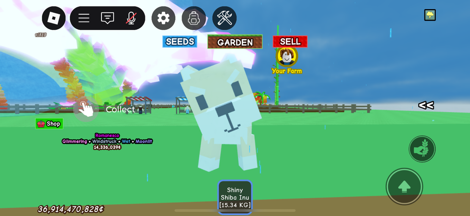 Grow a Garden Titanic Shiba inu 80.32kg max | eBay