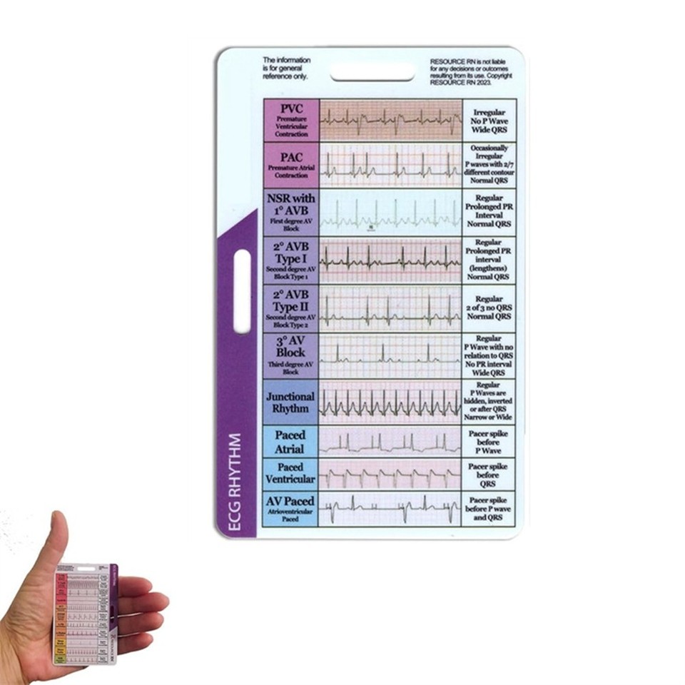 ECG/EKG Rhythm Card Sided EKG Rhythm Interpretation Badge Card ECG Rate ...