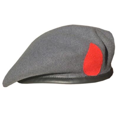 QARANC Queen Alexandra Royal Army Nursing Corp Small Crown Officers ...