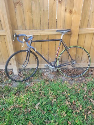 Vintage 1983 Trek 560 Classic Road Bike 26" Cromalloy-M 501 | eBay