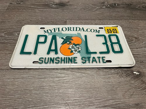 FLORIDA SUNSHINE STATE LICENSE PLATE #LPAL38 – Expired & Collectible ...
