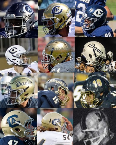UC - DAVIS CAL AGGIES FOOTBALL MINI HELMET, 11 VERSIONS TO PICK FROM | eBay