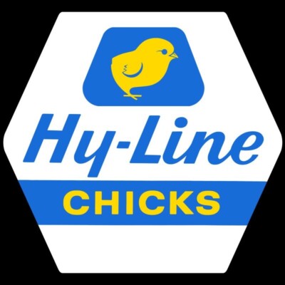 Hy-Line Chicks DIECUT NEW 28" Tall Sign USA STEEL | eBay