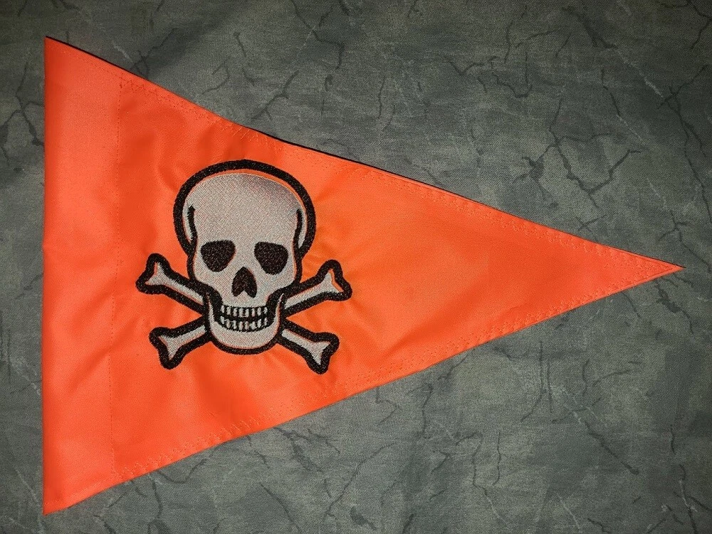 Toxic Skull And Crossbones Triangle