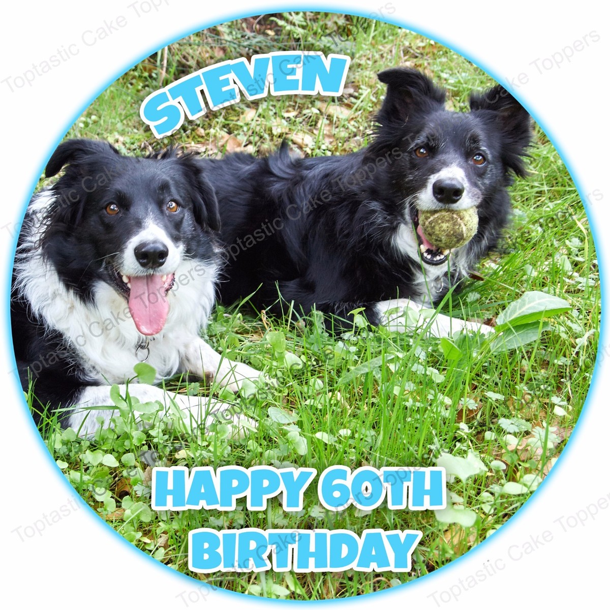 Collie Dog Cake Ideas Pet Birthday Cake Topper | Pet Cake Topper | Dog