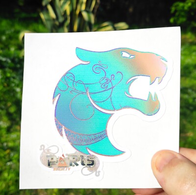 FURIA Holo Paris 2023 CSGO CS Counter Strike CS2 Sticker (No Effect) | eBay